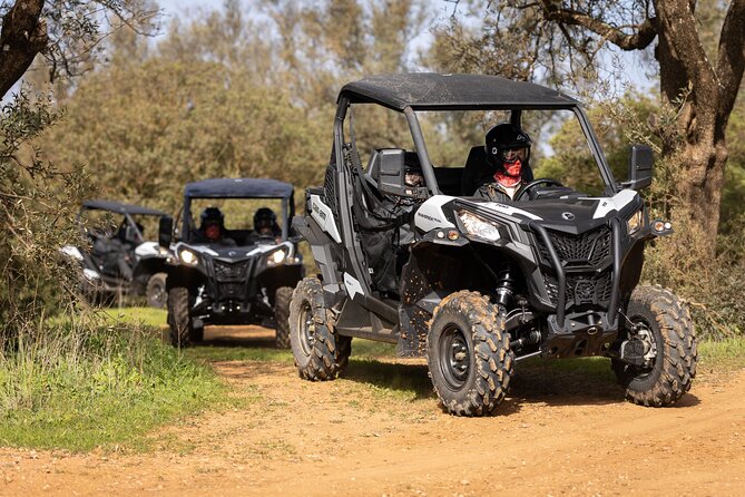 90-minute Buggy or Quad tour in the Algarve - Who Should Consider This Tour?