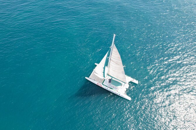 A day at Sea aboard Mundo Marino Catamaran in Valencia - What Travelers Are Saying