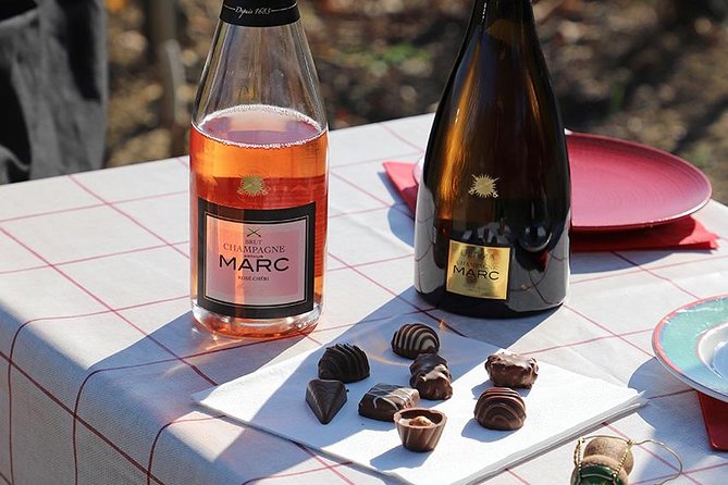 A unique sensory experience in the vineyards - Exploring the Itinerary in Detail