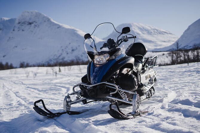 Adventure Snowmobile Safari - What Makes This Tour Stand Out?