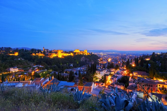 Albaicin and Sacromonte Private Tour - The Guide and Tour Experience