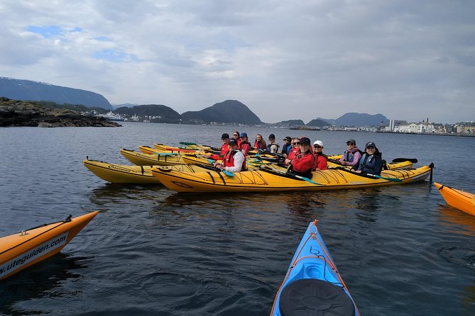 Ålesund Round Trip  A Great Kayak Adventure - Who Should Consider This Tour?