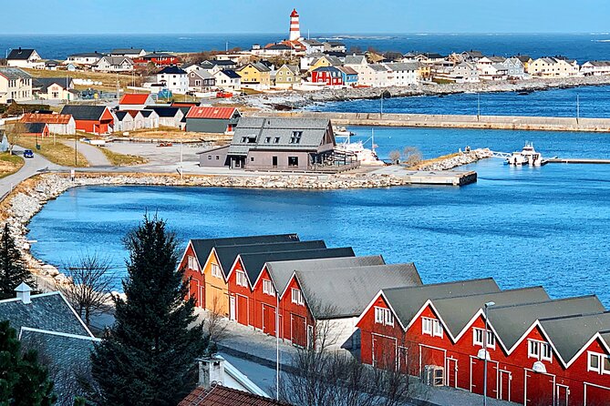 Alesund Sightseeing tour Vikings islands by minibus, 4 hours. Private tour - Who Should Consider This Tour?