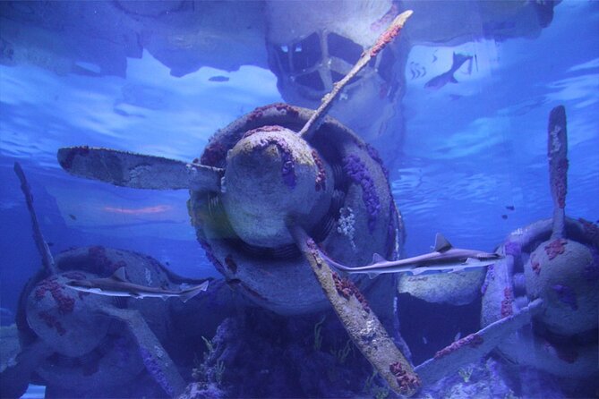 Alexander Waterfall and Antalya Aquarium Day Tour from Side - Key Points