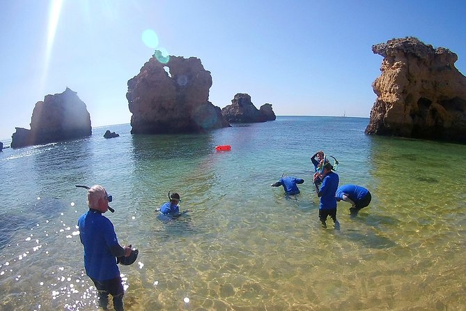 Algarve Coastline & Beaches - Private Tour - Analyzing the Experience: Is It Worth the Price?