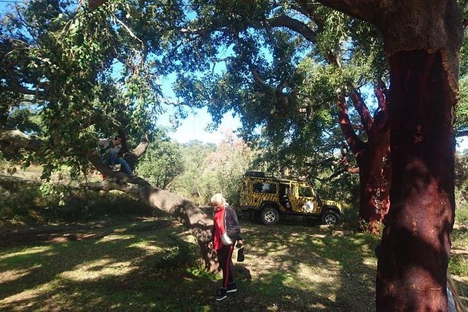 Algarve Half Day Jeep Safari (PRIVATE TOUR) - The Experience: What Sets This Tour Apart