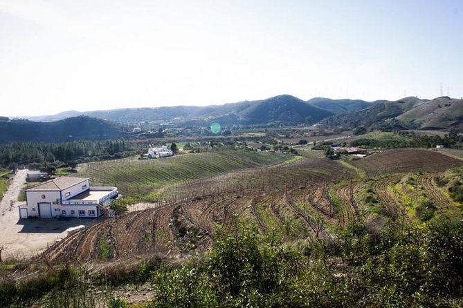 Algarve Wine Tour of Two Wine Estates - Overview of the Experience: What You Can Expect