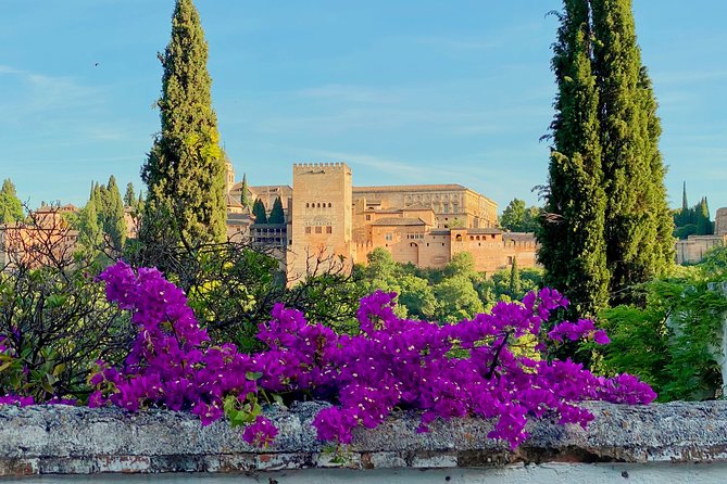Alhambra Private Tour with Skip-the-line-tickets - What to Expect From the Experience
