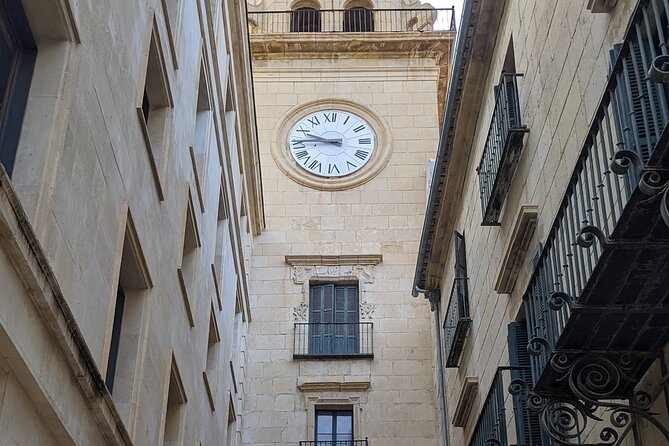 Alicante & Elche. Transport, guide and monuments. - What Makes This Tour Special