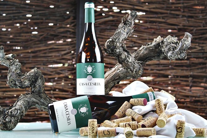 Alicante Old Winery Tour and Wine Tasting Including Transfer - A Closer Look at the Experience