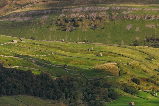 All Creatures Great & Small tour from York - Visiting the Best of Yorkshire in a Day