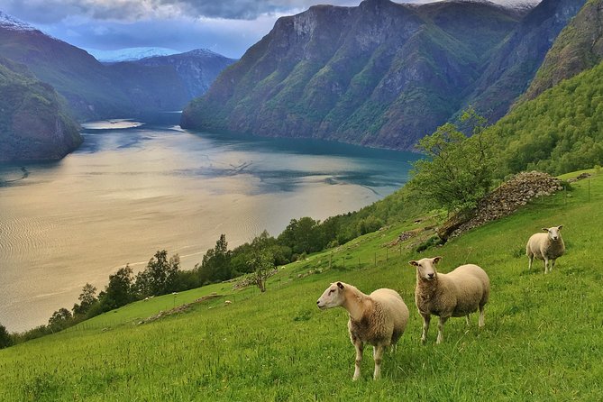 ALL ELECTRIC: Emission free tour to the World Heritage Fjords, 13 hours - Key Points