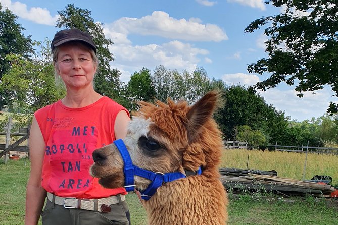 Alpaca hike in the Barnimer Feldmark - What the tour entails