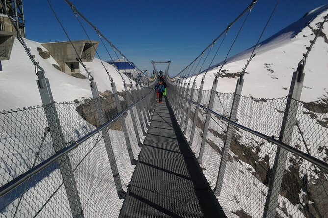 Alpine Majesty:Exclusive Private Tour to Mount Titlis from Basel - The Value of Included Tickets and Logistics