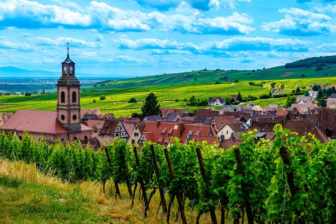 Alsace Half Day Wine Tour from Colmar - Starting Point and Basic Logistics