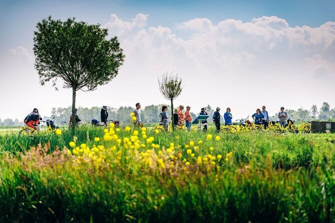 Amsterdam Countryside and Villages Bike Tour - Why Choose This Bike Tour?