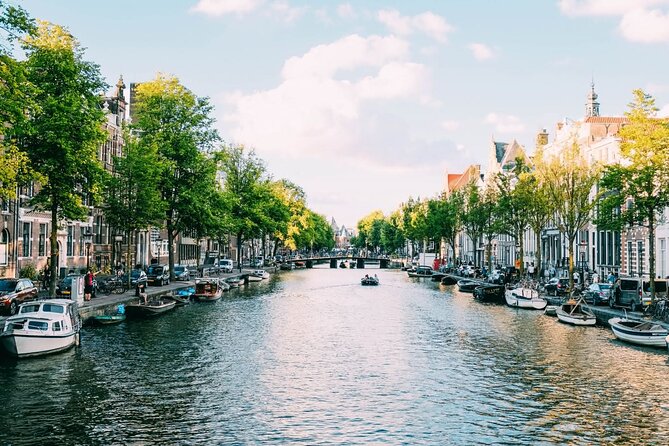 Amsterdam Highlights Walking Tour - The Experience: What Travelers Can Expect