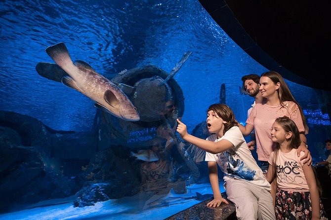 Antalya Aquarium Tour Platinium Tour - The Itinerary in Detail