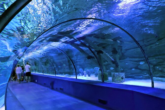 Antalya Aquarium, Wax Museum, Snow World, Wild Park, XD Cinema - What You Can Expect from the Tour