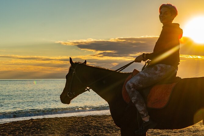 Antalya Horse Riding On Beach And Through The Forests For 2 Hours - What Does the Tour Include?