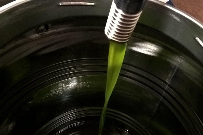 Apprentice Olive Oil taster for a day! - A Scenic Walk Through Umbrian Olive Groves