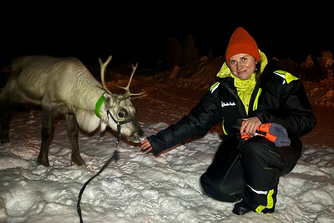 Arctic Adventure with Reindeer and Northern Lights Hunt 18:30 pm - Final Thoughts: Is This Tour Worth It?