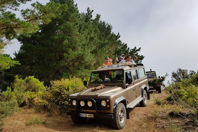 Arieiro Peak, Santo da Serra and Cristo Rei 4x4 Experience - Introduction: An Exciting Quick Escape into Madeira’s Natural Beauty