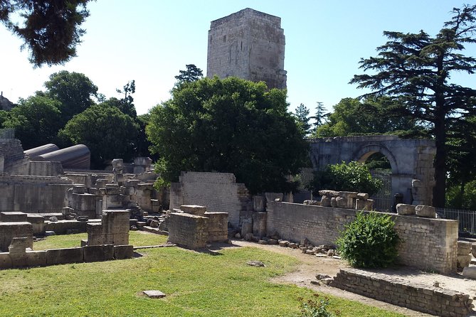 Arles and Camargue Full-Day Tour including Aigues Mortes - A Detailed Look at the Itinerary