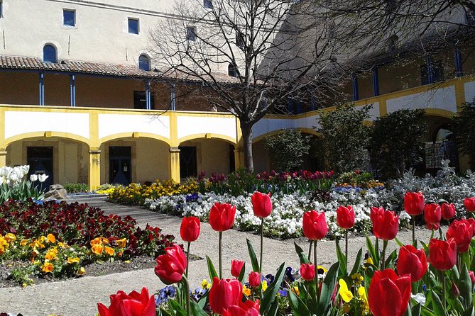 Arles, Les Baux & Saint-Remy de Provence from Aix - Introduction and What to Expect