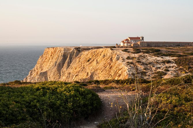 Arrabida Full Day Private Tour with Wine Tasting - Who Will Fall in Love with This Tour?