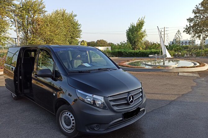 Arrival Transfer From Kos Airport - The Meeting Experience: Smooth and Personable