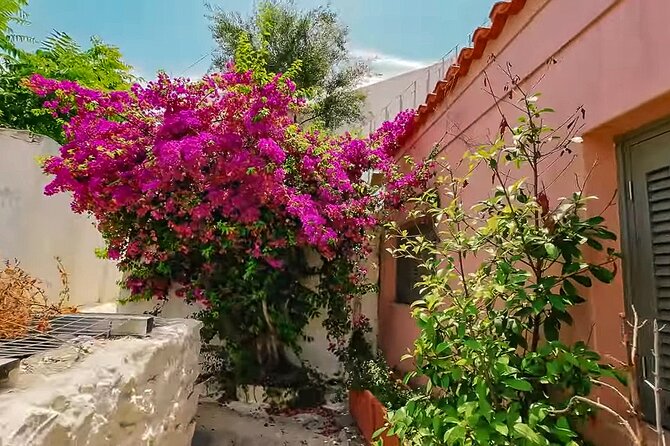 Athens Beauty 4h Private Walking tour - Overview and Value