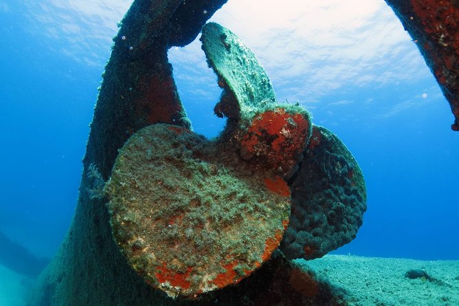 Athens Scuba Diving Experience for Certified Divers with pick up - The Blue Hole Dive: What Makes It Special?