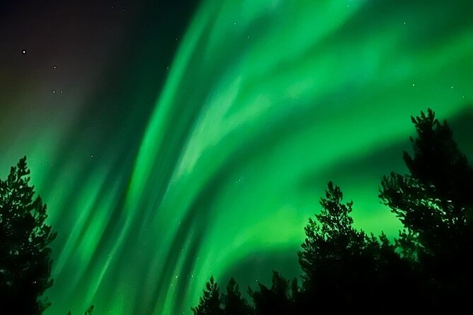 Aurora Hunt with BBQ in Rovaniemi - What Travelers Are Saying: Honest Perspectives