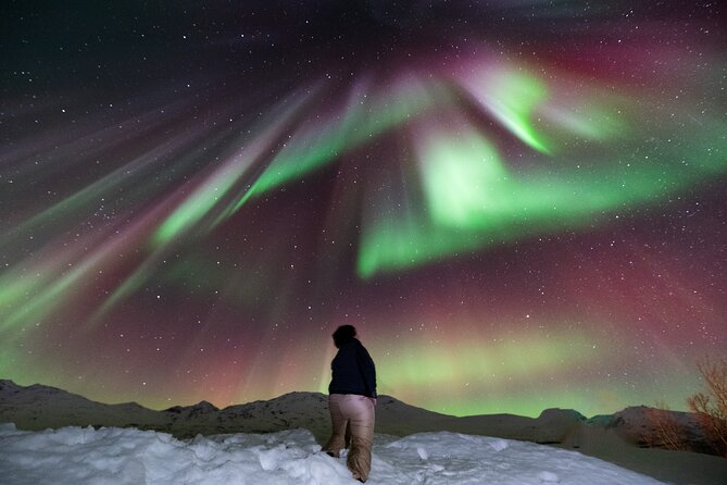 Aurora Hunt with Professional Photographer from Alta - An Authentic Arctic Experience Like No Other