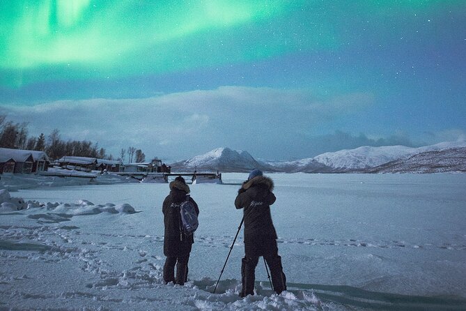 Aurora Tour with Dinner in Abisko - A Glimpse into What You Can Expect