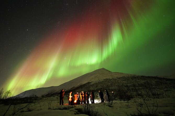 Aurora Tour - The Practical Side: Transportation, Group Size, and Cost