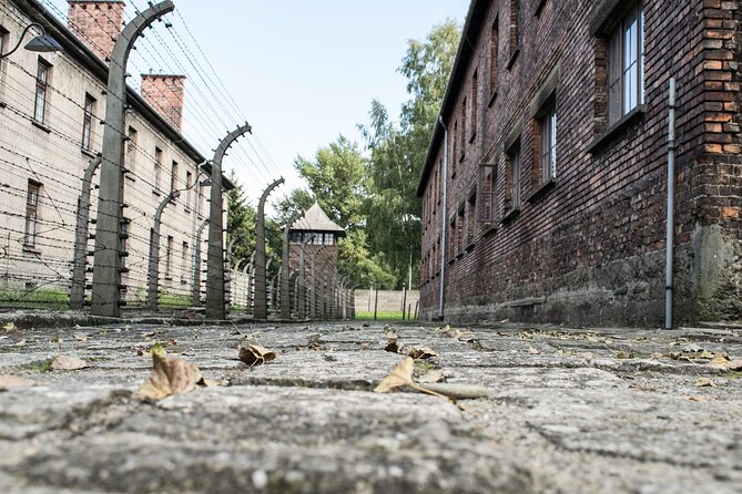 Auschwitz & Birkenau: Live-Guided Tour with Transportation and Hotel Pickup - Key Points