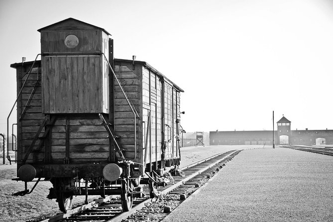 Auschwitz-Birkenau Museum Tour from Krakow - Who Should Consider This Tour?