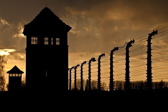 Auschwitz Small Group Tour from Warsaw with Lunch - What the Reviews Reveal