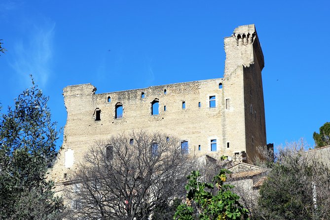 Avignon's history, local culture & the wines of Châteauneuf du Pape private tour - A Close Look at the Itinerary and What to Expect