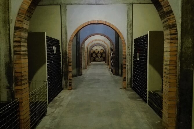 Bairrada Winery Route, half day from Coimbra - Exploring the Bairrada Winery Route in Depth