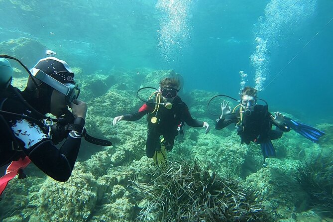 "Baptism of the Sea: Diving on the Island of Elba" - What to Expect from Your Scuba Baptism on Elba