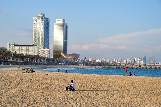 Barcelona Highlights Private Tour with Driver and Official Guide - A Private Barcelona Experience Designed for Comfort
