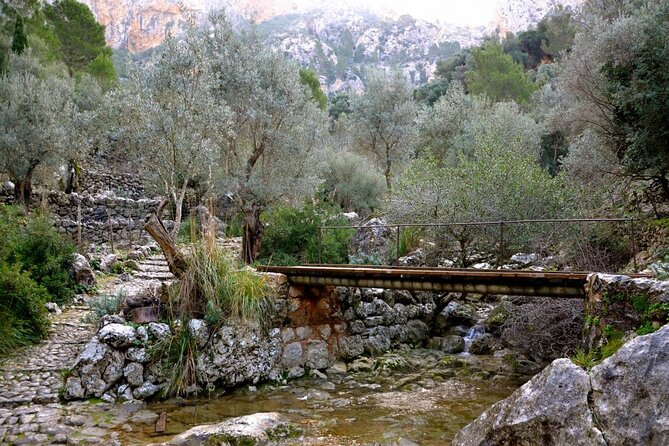 Barranc de Biniaraix Half-Day Hike - A Closer Look at the Barranc de Biniaraix Hike
