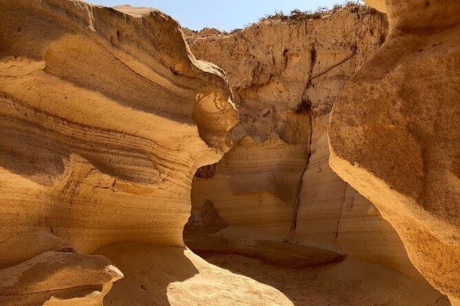 Barranco E Bike Tour in Corralejo North of Fuerteventura - Why Reviewers Love It