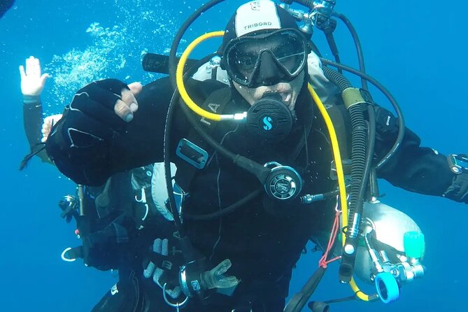 Basic Scuba Diver - The Value Here