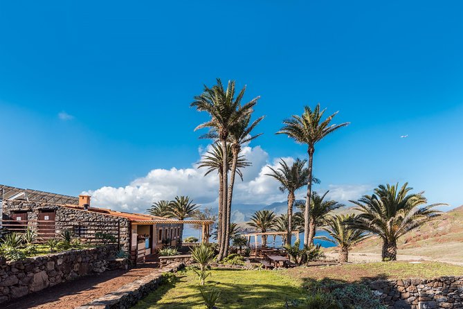 Basic Tour 1 - Cais do Sardinha to Quinta do Lorde (one way) - An In-Depth Look at the Tour Itinerary
