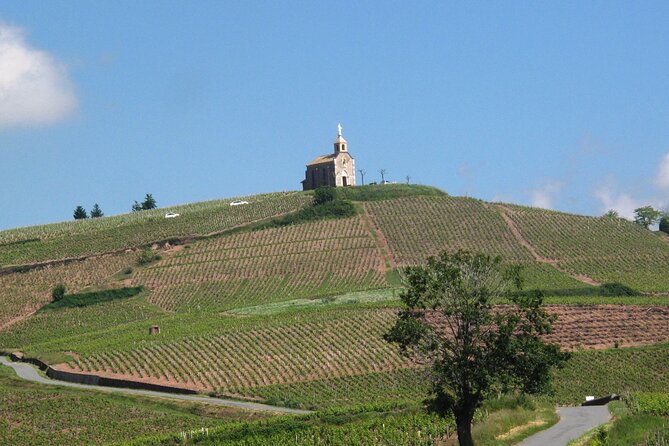 Beaujolais Region Wine Tasting Private Day Tour from Lyon - Discovering the Beaujolais Region: What to Expect