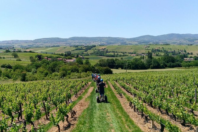 Beaujolais Segway Tour with Wine Tasting - Full Review: Why This Tour Could Be the Highlight of Your Beaujolais Trip